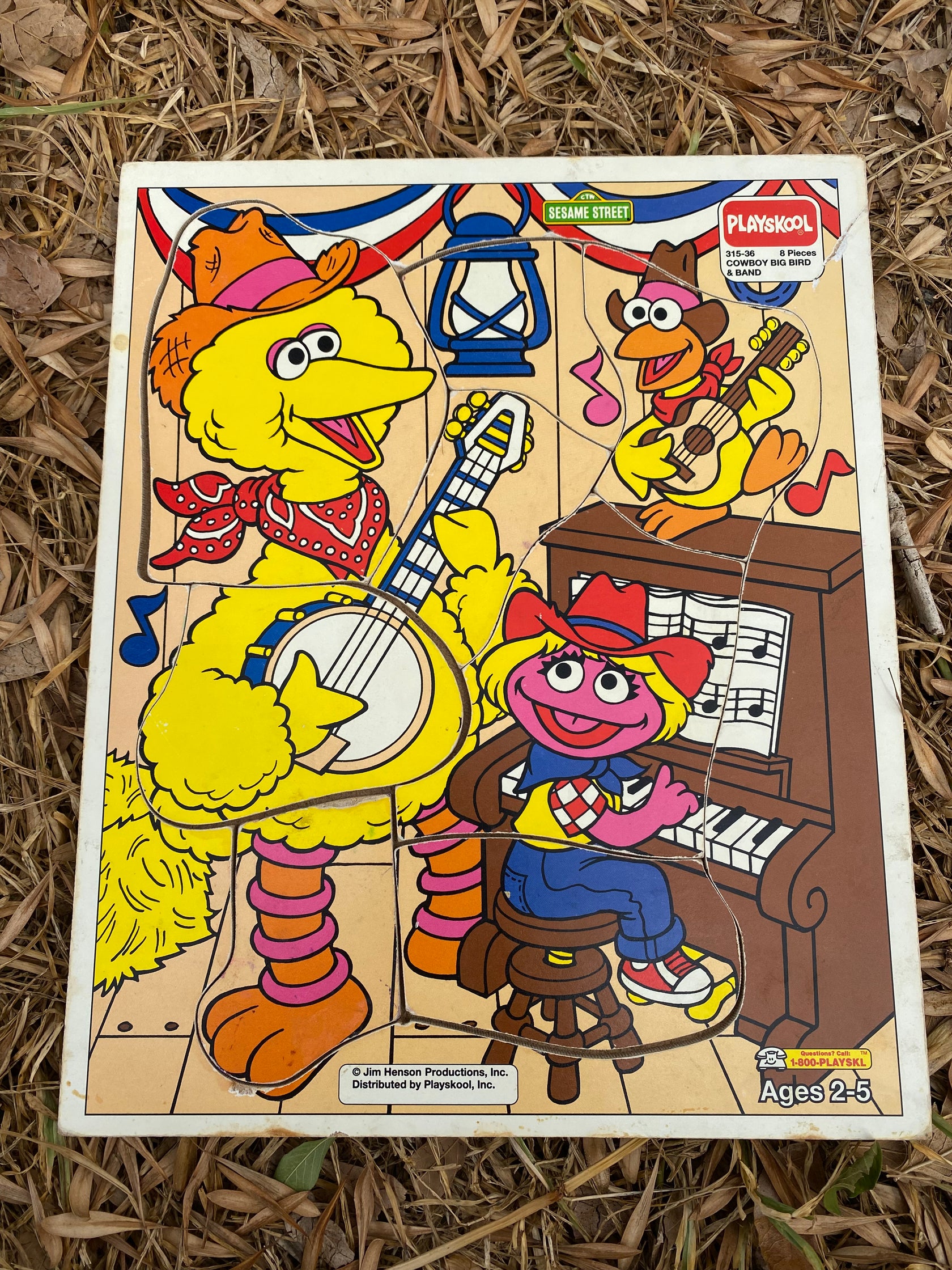 Playskool Puzzles – BluebonnetVintage